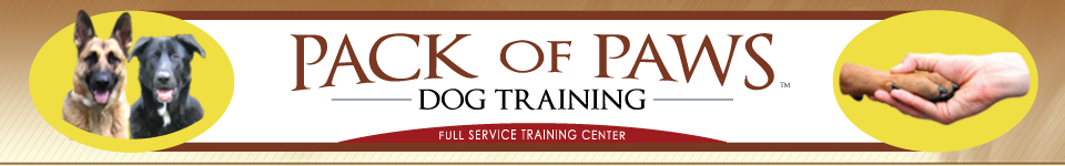 header_bg-[Converted]2 - Pack of Paws Dog Training