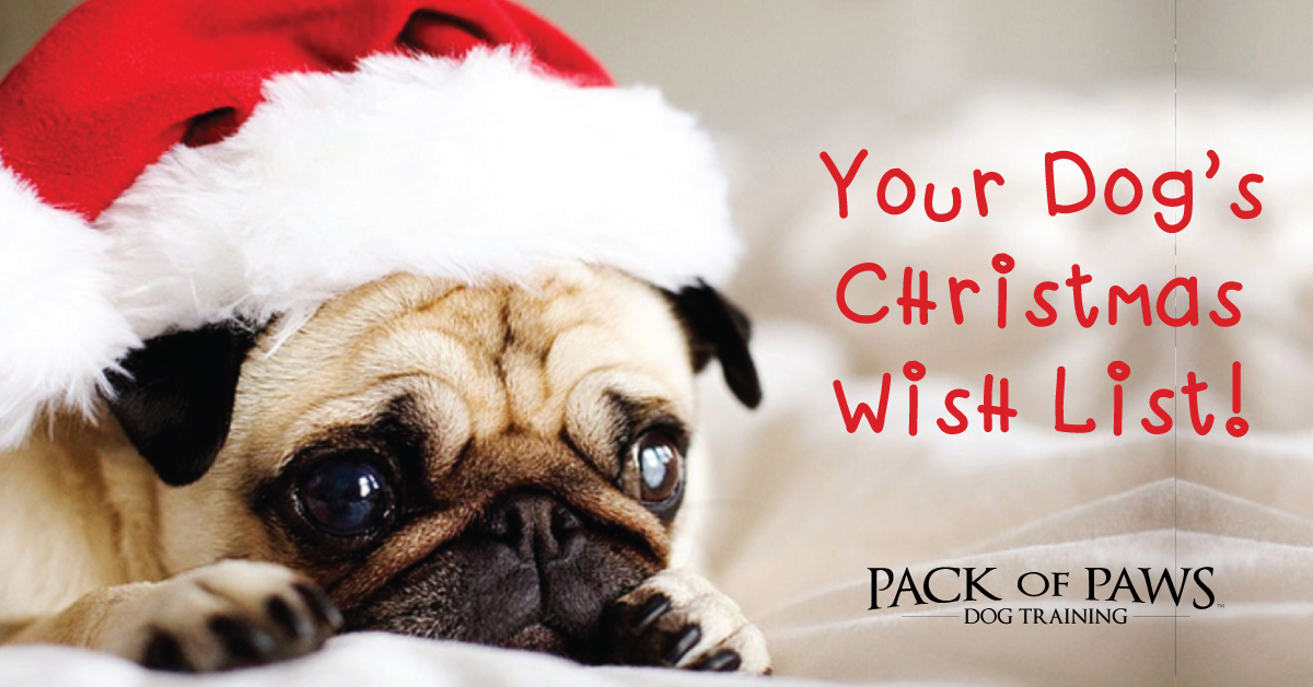 Your Dog s Christmas Wish List Pack Of Paws Professional Dog Training Your Dog s Christmas Wish List Pack Of Paws Professional Dog Training